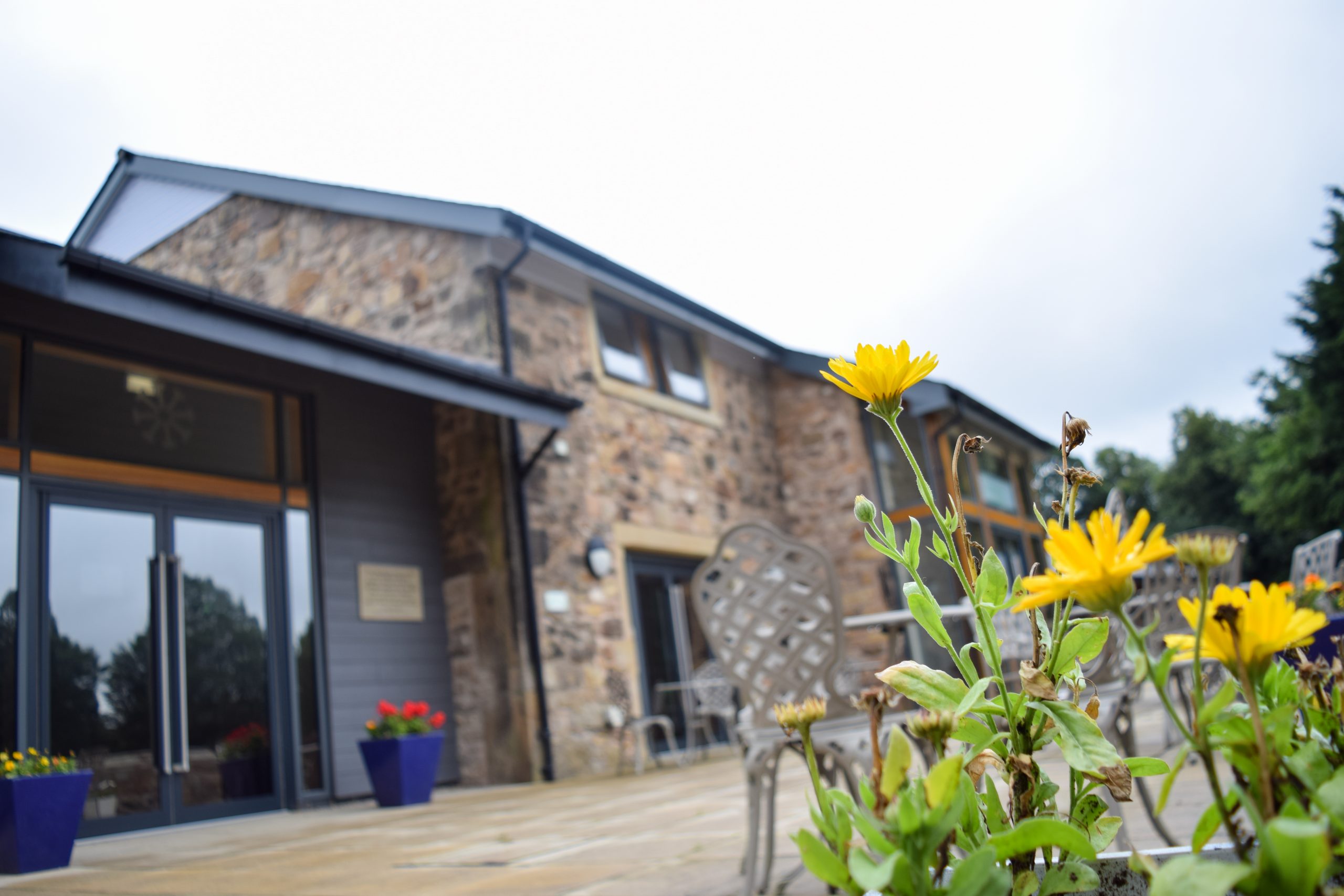 'Eat Out to Help Out' at The Mill this August | The Mill